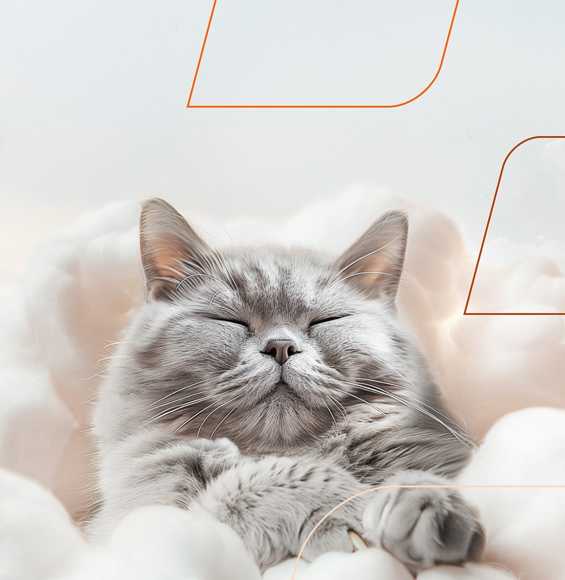 Strona główna - Purios